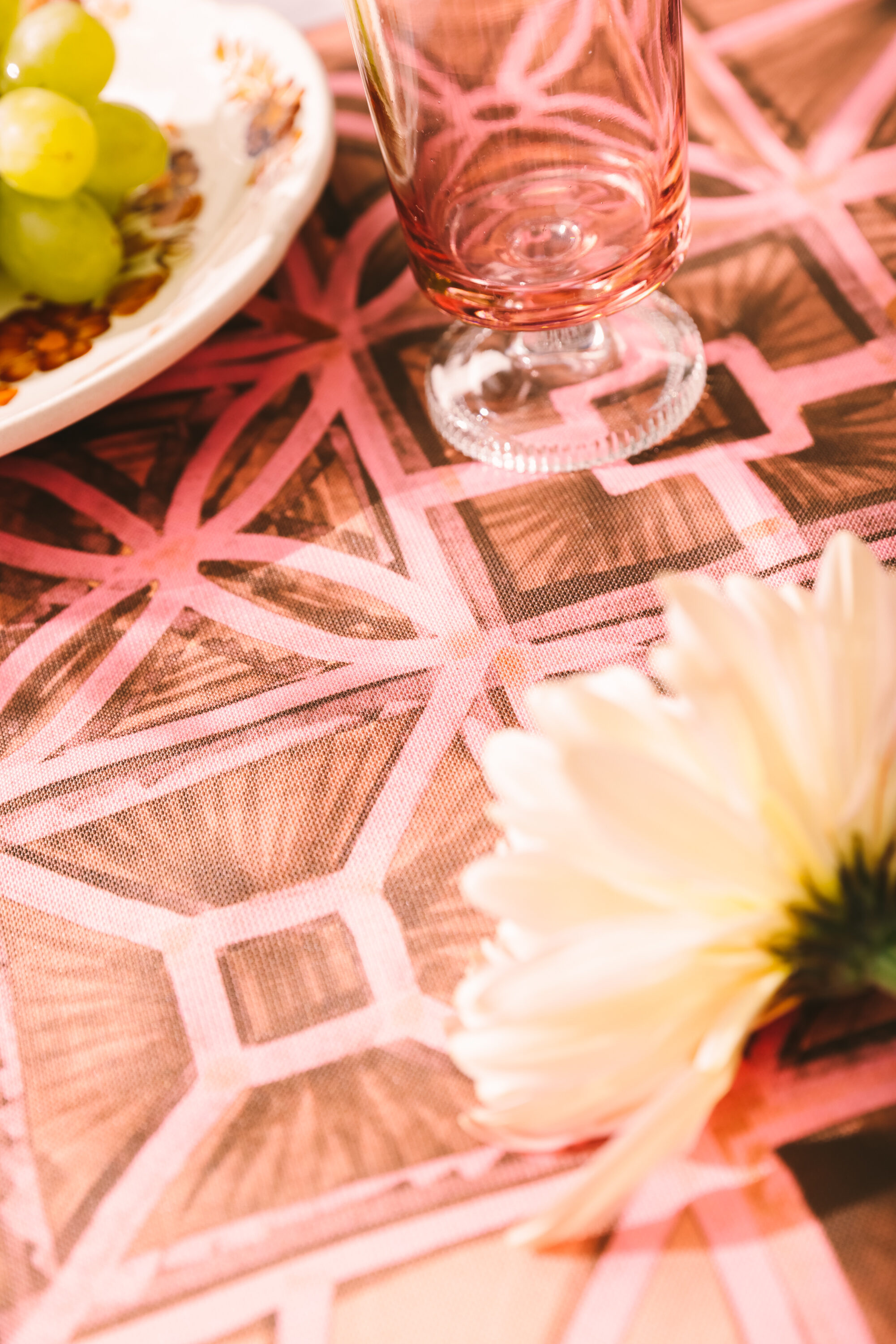 Patio Rosa - Individuales - Unicaroverse